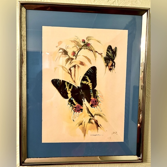 B Ballestar | Art | Seventies Butterfly Print Framed By B Ballestar | Poshmark